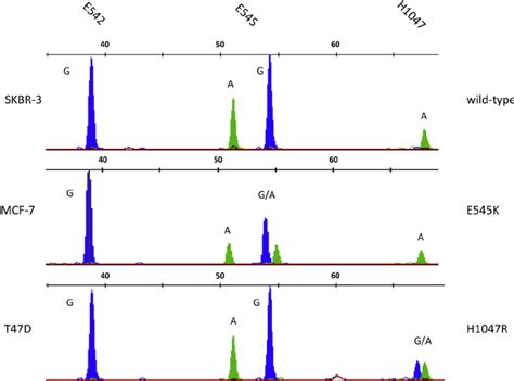 E Snapshot Electropherograms For Detection Of Hotspot Mutations In The Download Scientific