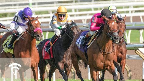 What Is A Pace Map Equinedge