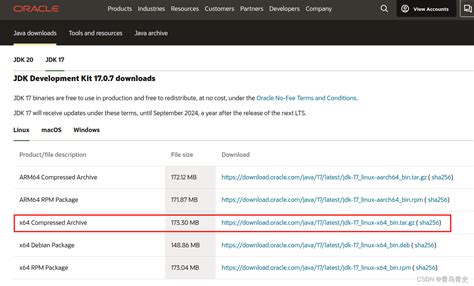 使用压缩包安装jdk多版本并能灵活切换 jdk17压缩包 csdn博客