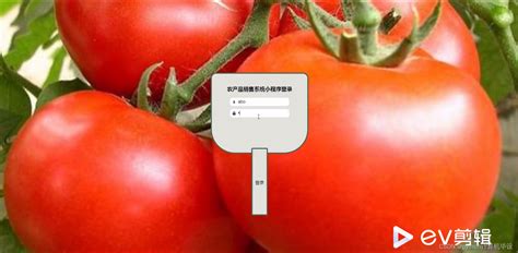 Springbootjavaphpnodepython农产品销售系统小程序【计算机毕设】 Csdn博客