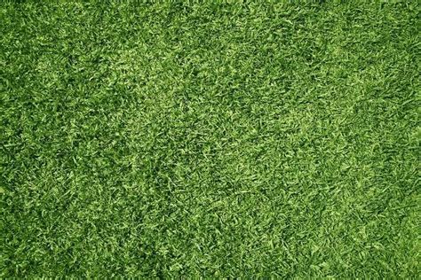What You Need To Know About Artificial Grass Recyclers Do It Easy With Scienceprog