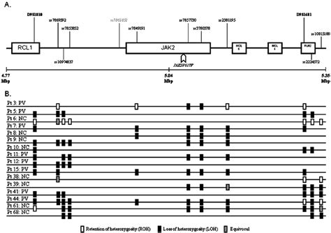 Distribution Of Short Tandem Repeat STR And Single Nucleotide Download Scientific Diagram