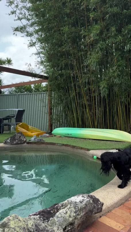 Josh Duckworth Uzzome On Tumblr