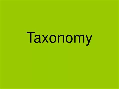 PPT Taxonomy PowerPoint Presentation Free Download ID 5690758