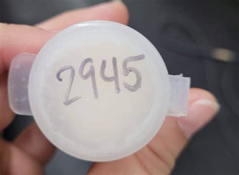 How To Collect A Milk Sample For Diagnostic Testing Dairy Cattle CentralStar Cooperative Inc