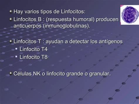 ERITROCITOS Y LEUCOCITOS PPT