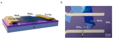 Highly Responsive And Self Powered Photodetector Based On Ptse2mos2 Heterostructure