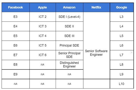 Different Software Engineering Levels in Big Tech Companies