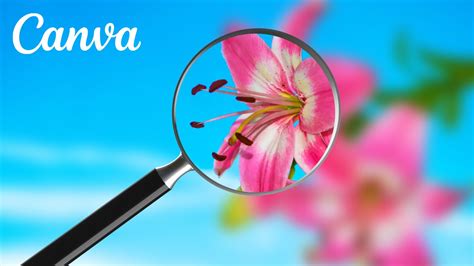 Canva Tutorials How To Make A Magnifying Effect On Canva