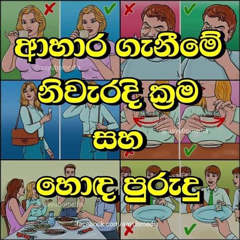 දැනුම් සයුර ආහාර ගැනීමේ නිවැරදි ක්‍රම සහ හොඳ පුරුදු 💚💚