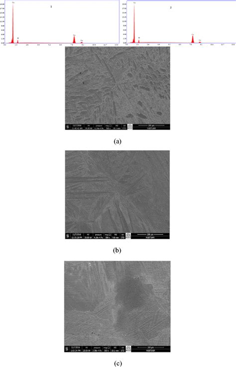 Sem Micrographs Showing The Structure Of A Alloy A B Alloy B And C Download Scientific