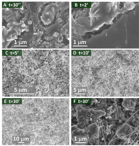 F Shows The Morphology Of The Aggregates After The Removal Of The Nws
