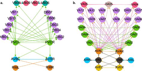 figure 5 from fibration symmetries and cluster synchronization in the