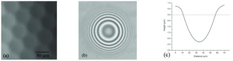 a sem image of hexagonal microlenses array b interference fringe