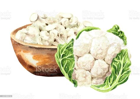 신선한 콜리플라워를 곁들인 그릇 흰색 배경에 고립 된 손으로 그린 수채화 그림 꽃 양배추에 대한 스톡 벡터 아트 및 기타 이미지 꽃 양배추 수채화 건강한 생활방식