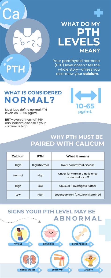 Understanding Normal Pth Levels What Your Parathyroid Hormone Levels Really Mean