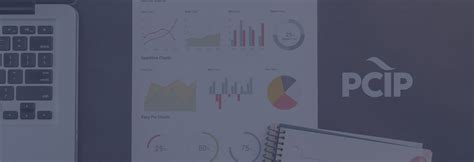 Pcip Financial Position Borders Local Medical Committee Website