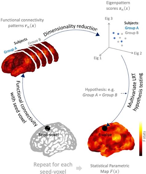 Figure 1 From Brain Wide Connectome Inferences Using Functional Connectivity Multivariate