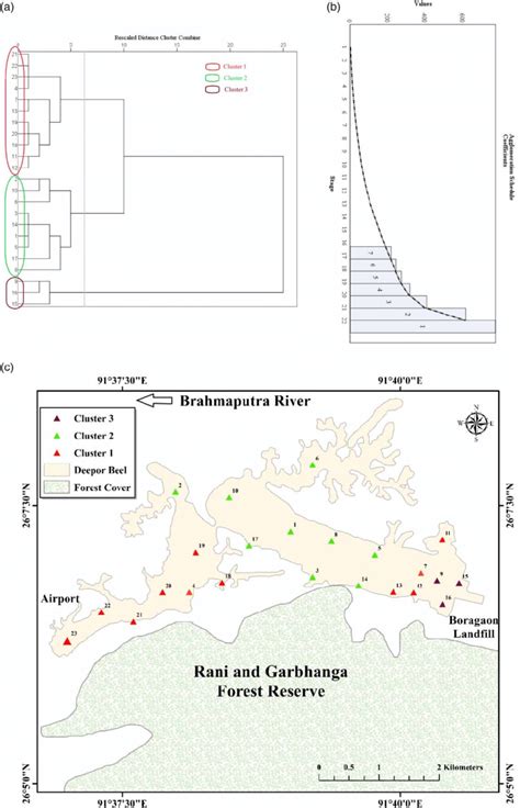 Hierarchical Clustering A Dendrogram Representation B