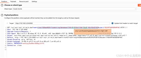 Pikachu Sql Inject 基于boolian的盲注 Csdn博客