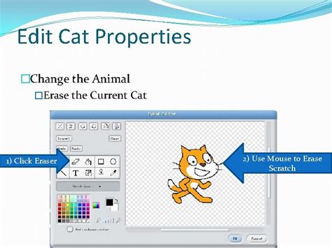 Introduction To Object Oriented Programming Scratch The Cat