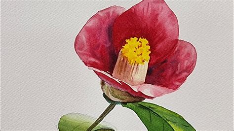 수채화 동백꽃 쉽게 그리기 Youtube