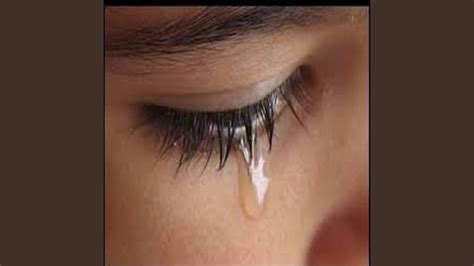 Dashurija E Vertet Nuk Harrohet Let Youtube