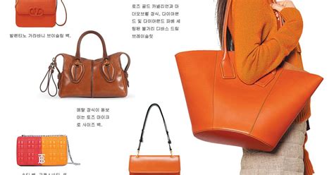 Orange 가을 오렌지로 물들다