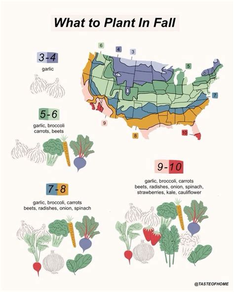 Planting Seasons Seasonal Plant Planting Guide When To Plant Fall