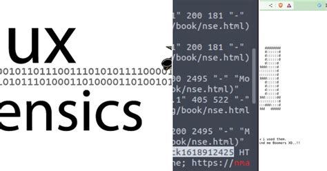 List Tryhackme Curated By Yen Medium