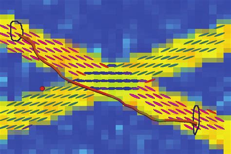 Reconstructing A Few Fibers Of The Corpus Callosum Bundle For The D2