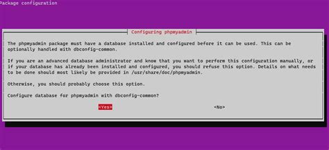 UbuntuのNginxにphpMyAdminをインストールする方法 ひとり情シス