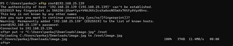 How To Use Sftp For File Transfers Uploads And Downloads Rackbank