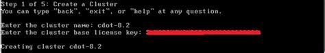 data center on cloud netapp cluster mode vsim install setup and configure