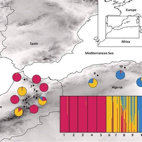 distribution of the bayesian admixture results obtained with bayesian