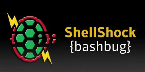 What Is The Shellshock Vulnerability