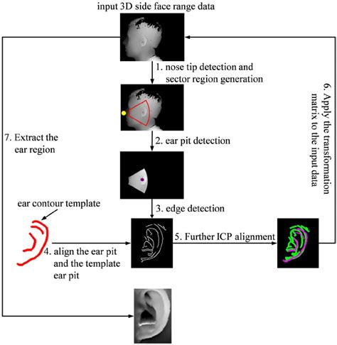 Flowchart Of The Proposed Ear Detection Scheme Download Scientific Diagram