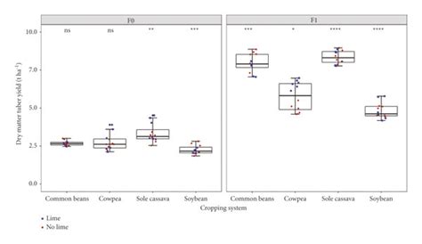 Interaction Effects Of Lime Fertilizer And Cropping System On Cassava