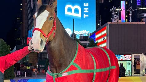 Budweiser New Super Bowl Ad Budweiser Super Bowl Commercial 2025