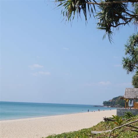 Stream Willow Walsh Music Listen To Songs Albums Playlists For Free