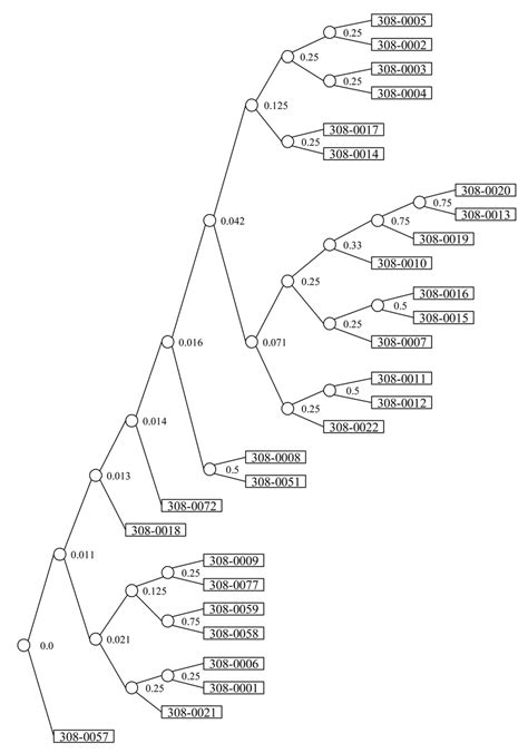 neighbor hierarchy of members of attribute stock no in relation