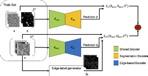 Edge Based Self Supervision For Semi Supervised Few Shot Microscopy Image Cell Segmentation
