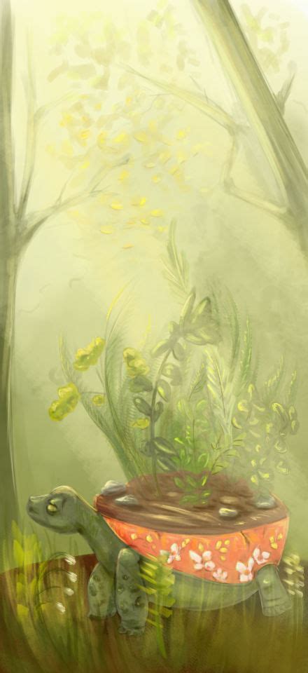 Hermit Tortoise By Shamberry On Deviantart
