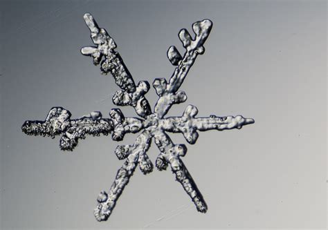 These Everyday Items Turn Into Something Incredible Under A Microscope