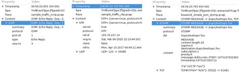 Examples Of Extended Dsl Based Packet Import Download Scientific Diagram