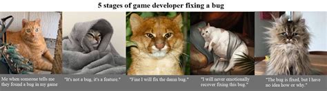 5 Stages Of Game Developer Fixing A Bug Rprogrammerhumor