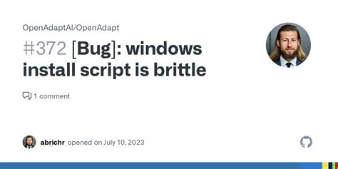 Bug Windows Install Script Is Brittle · Issue 372 · Openadaptai