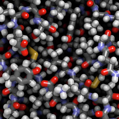 Trypsin Enzyme Surface 1 By Science Photo Library