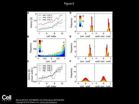 Olfactory Coding With Patterns Of Response Latencies Ppt Download