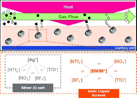 Schematic Illustration Of The IGC Approach Used For Evaluating Download Scientific Diagram